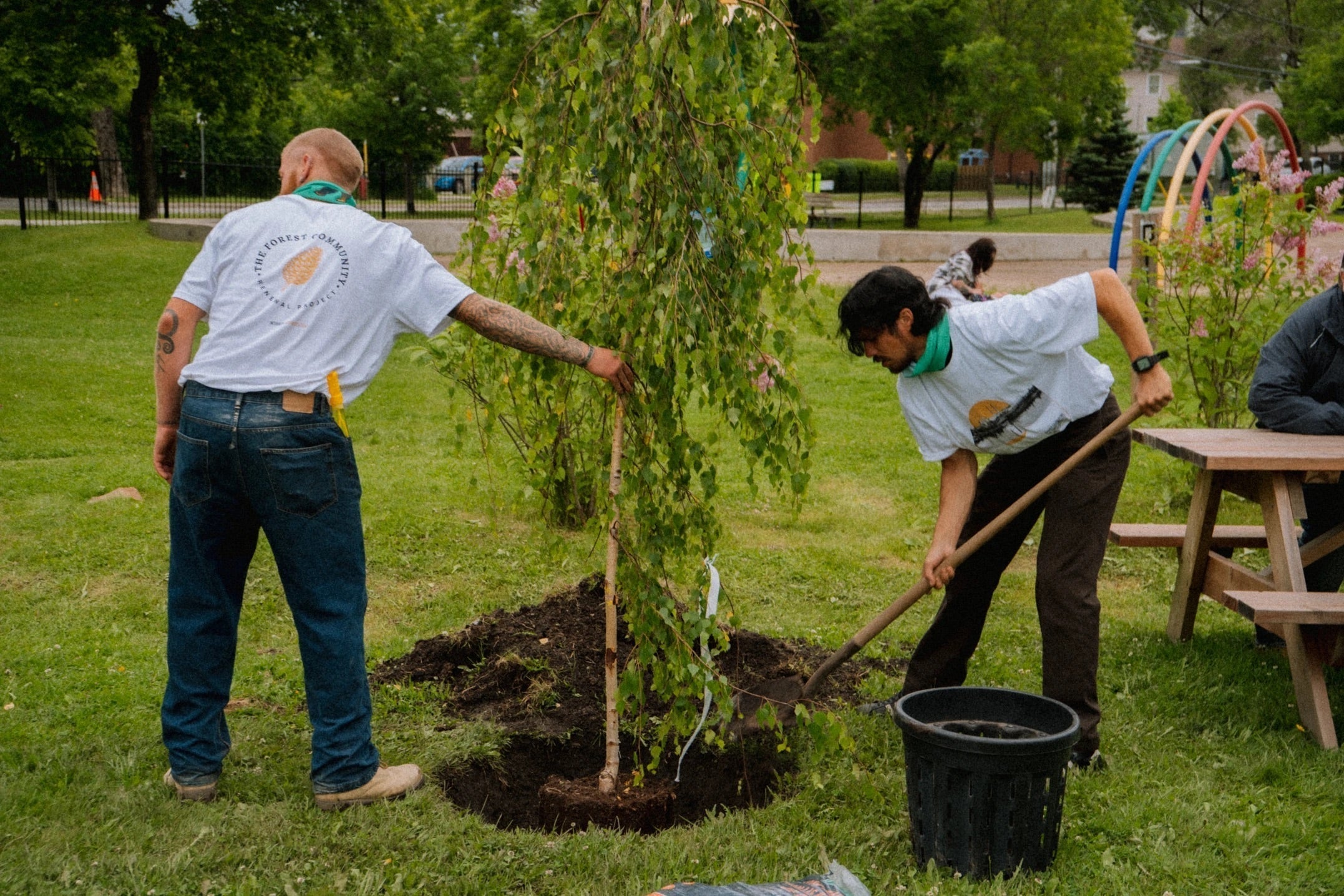 Rooted in Community: The Forest Community Renewal Project Takes Form i ...